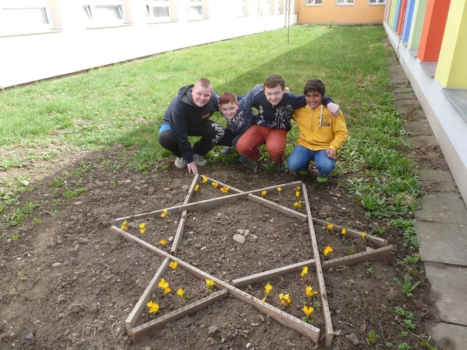 The Crocus Project — Holocaust Education Ireland