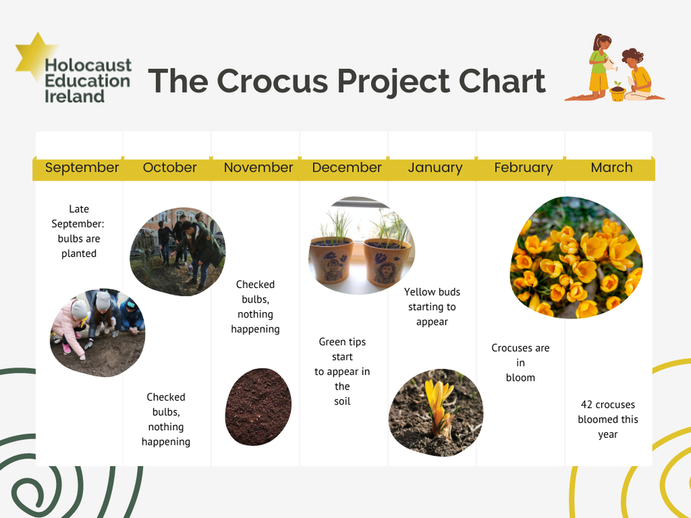 The Crocus Project — Holocaust Education Ireland