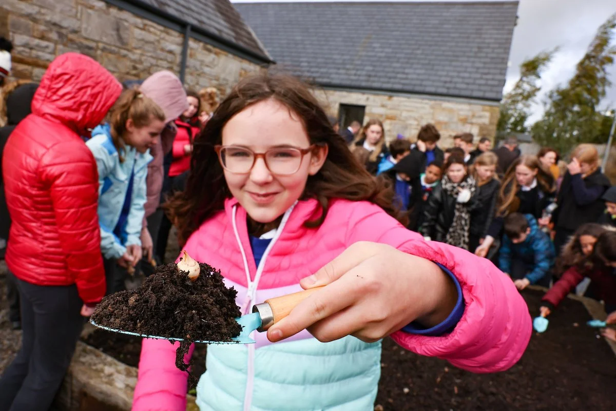 The Crocus Project — Holocaust Education Ireland