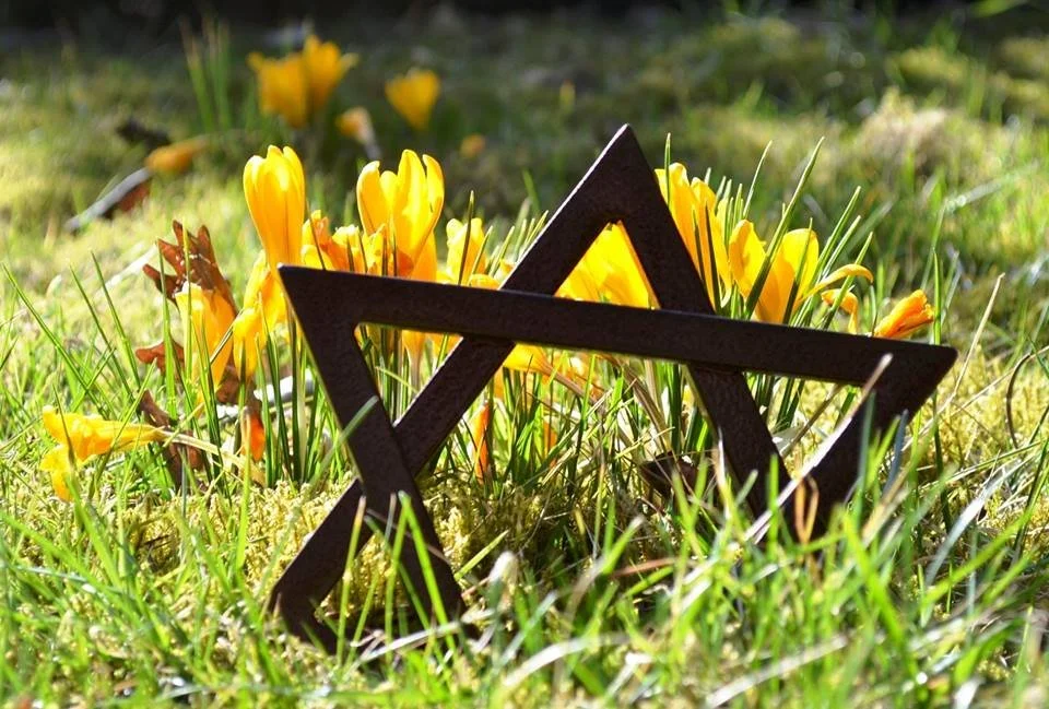 The Crocus Project — Holocaust Education Ireland