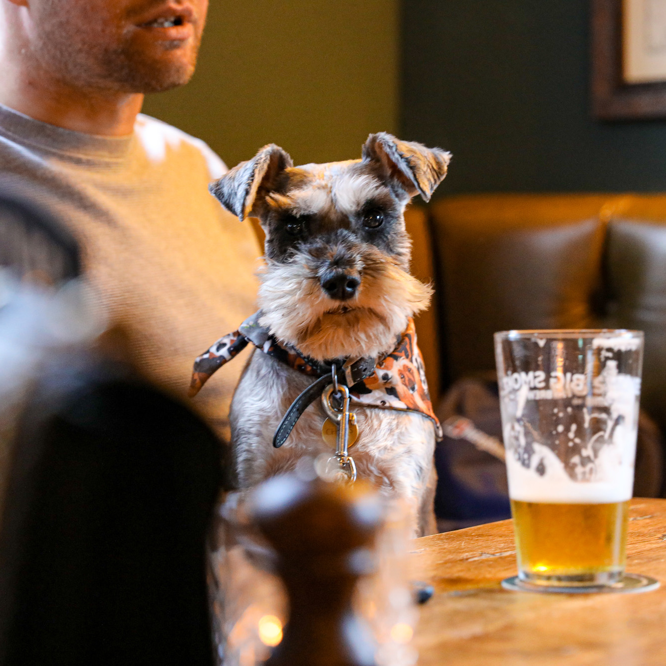 The Rising Sun - Modern British Pub with Beer Garden in Epsom