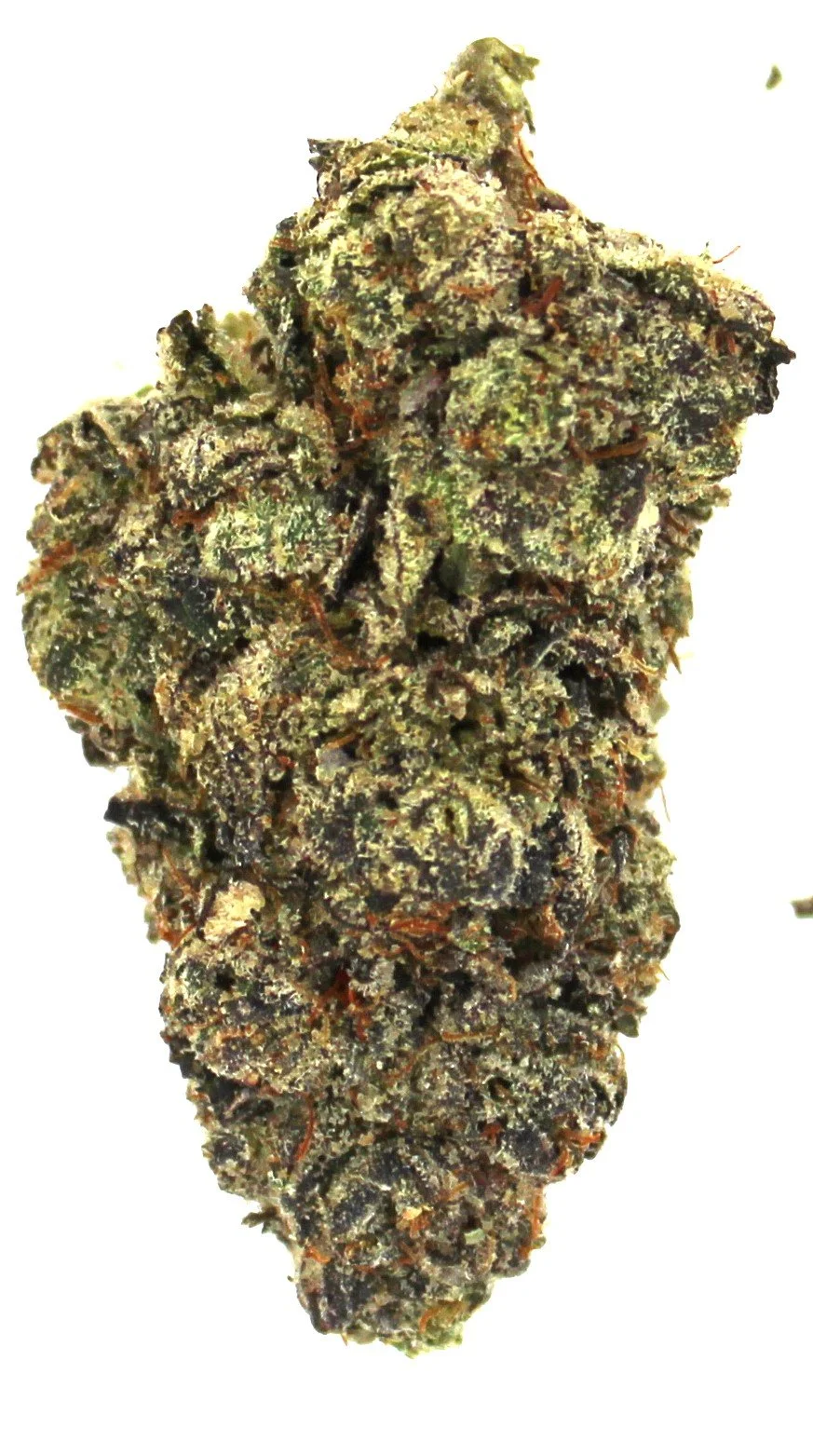 TOP SHELF — GMD420