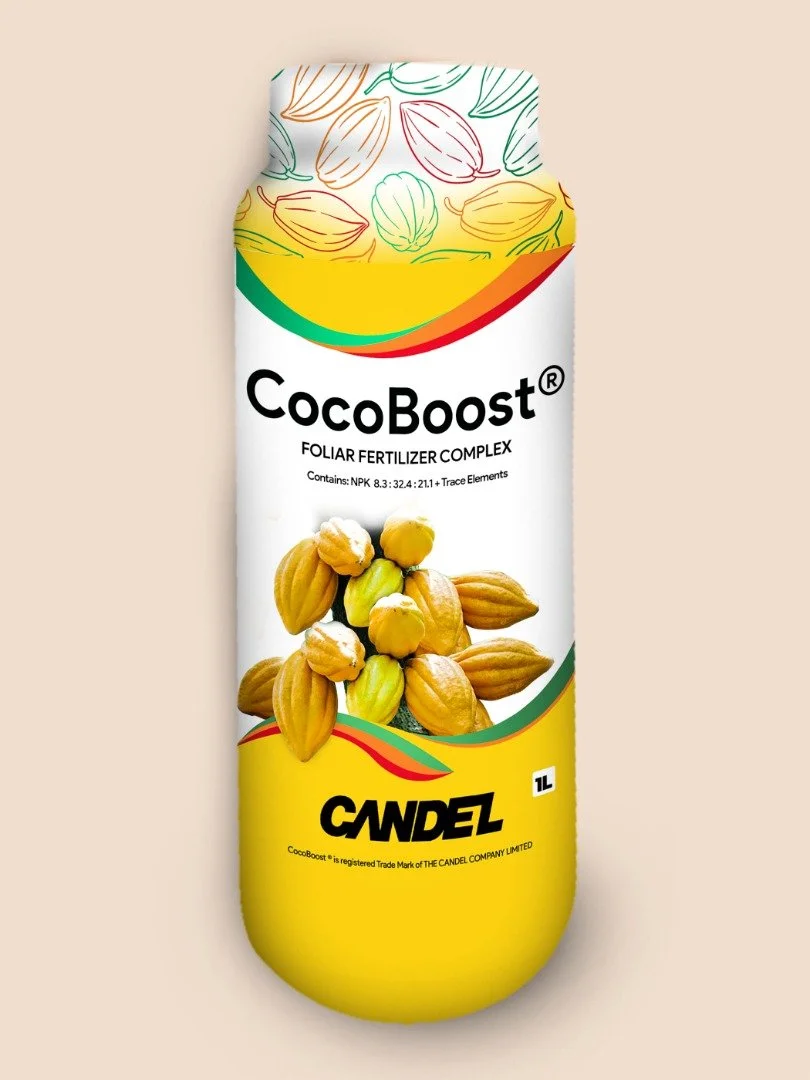 Products — The Candel Company Limited