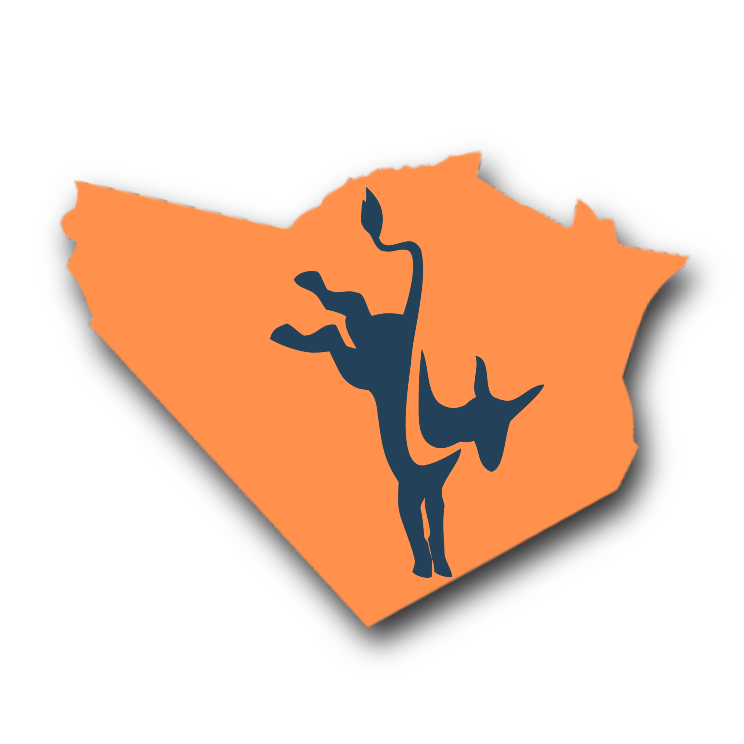 ORANGE COUNTY DEMOCRATIC COMMITTEE ANNOUNCES HISTORIC SLATE OF ENDORSED ...