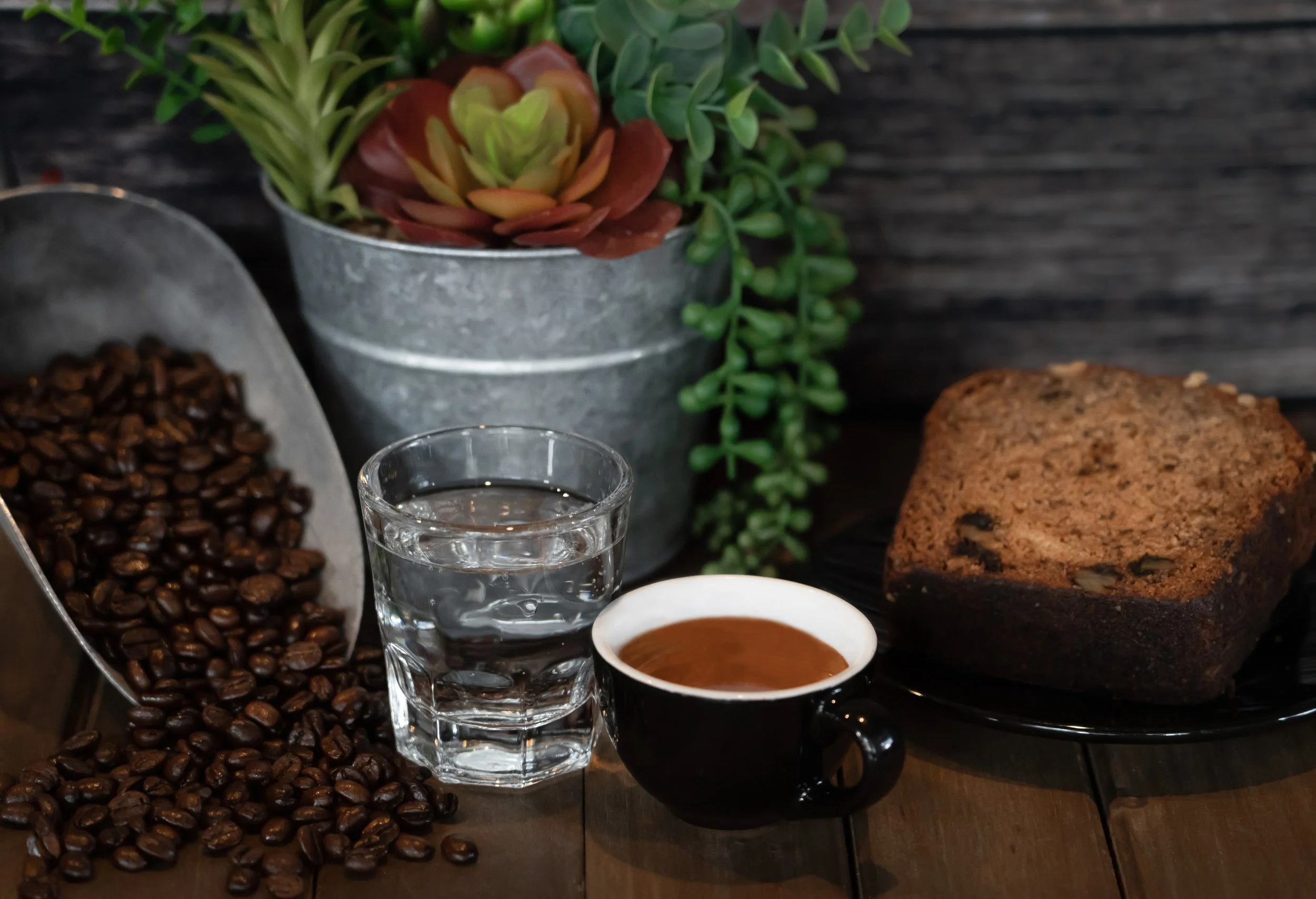 Menu — Dog Day Coffee