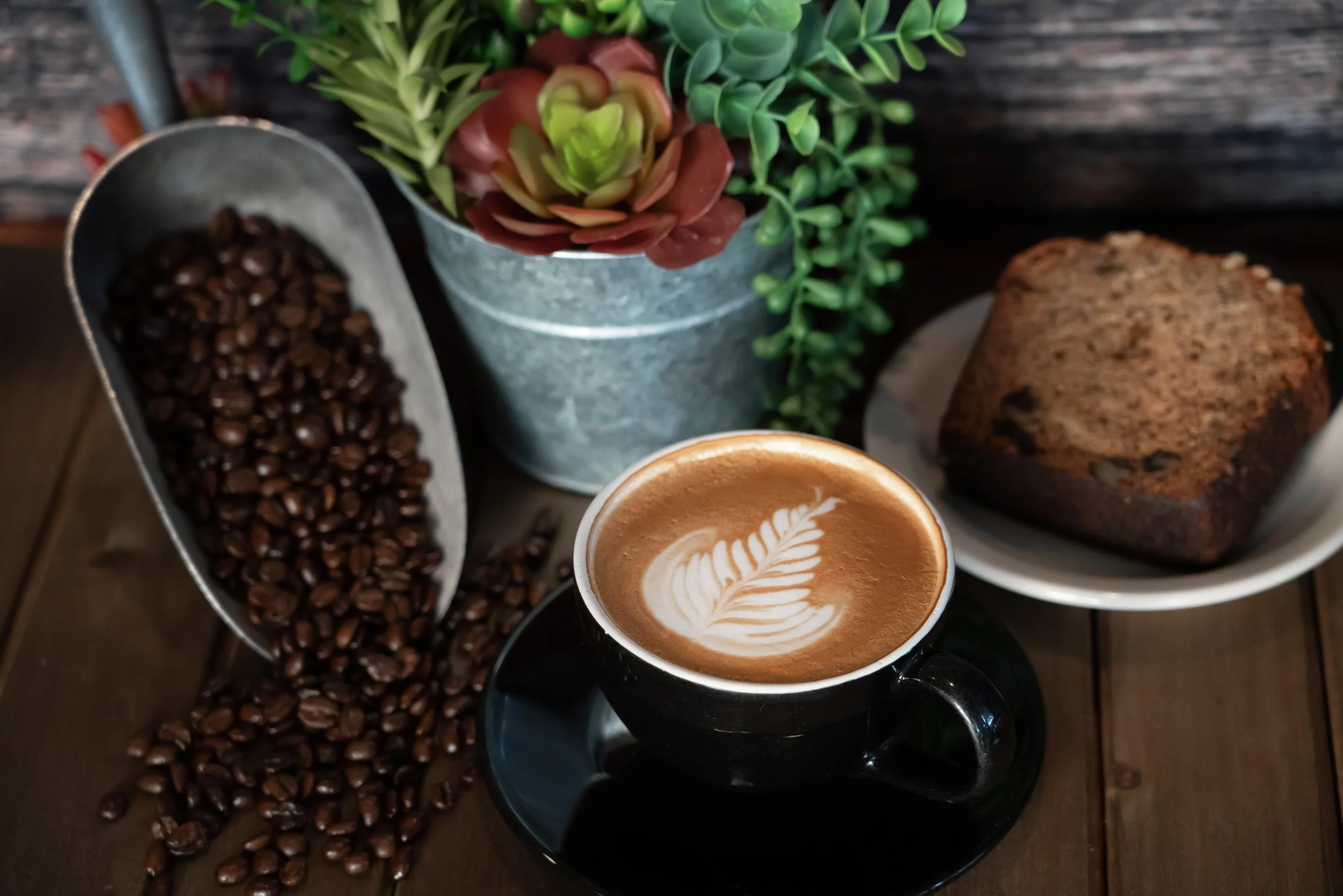 Photo Gallery — Dog Day Coffee