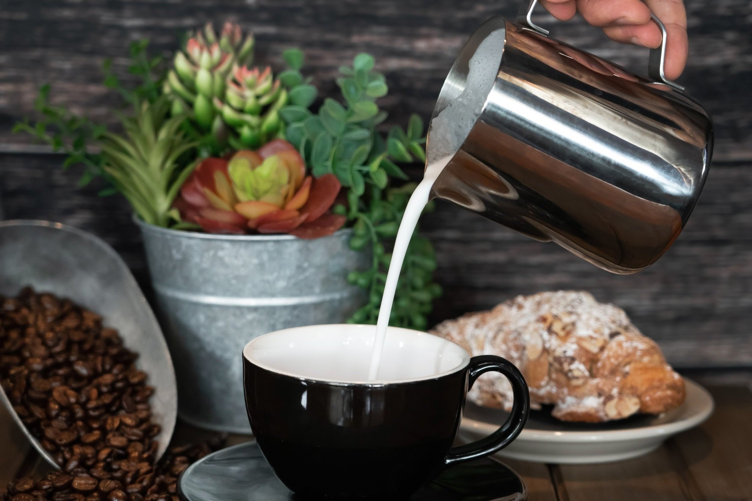 Menu — Dog Day Coffee