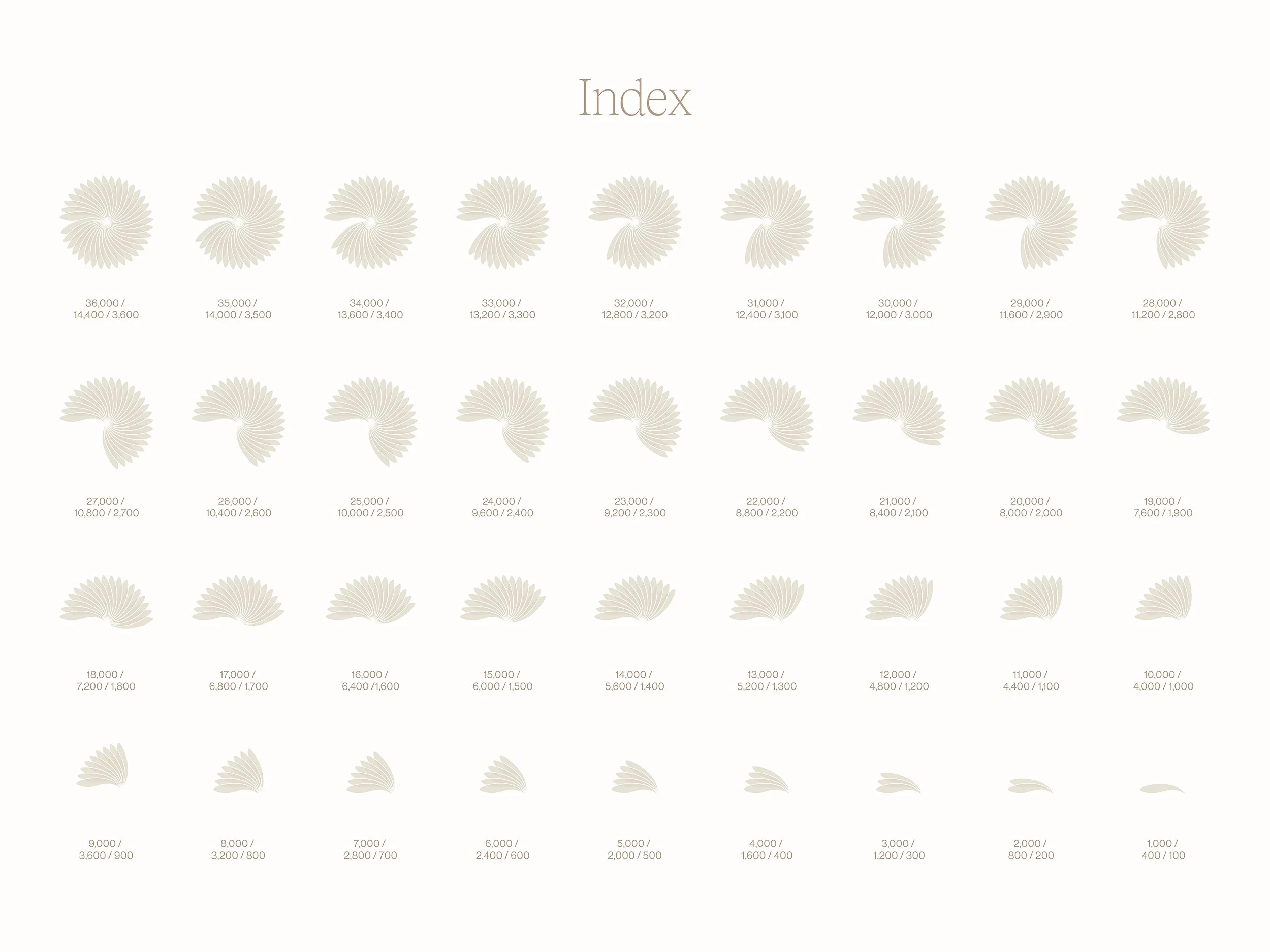 Kathy Park — Media Design School