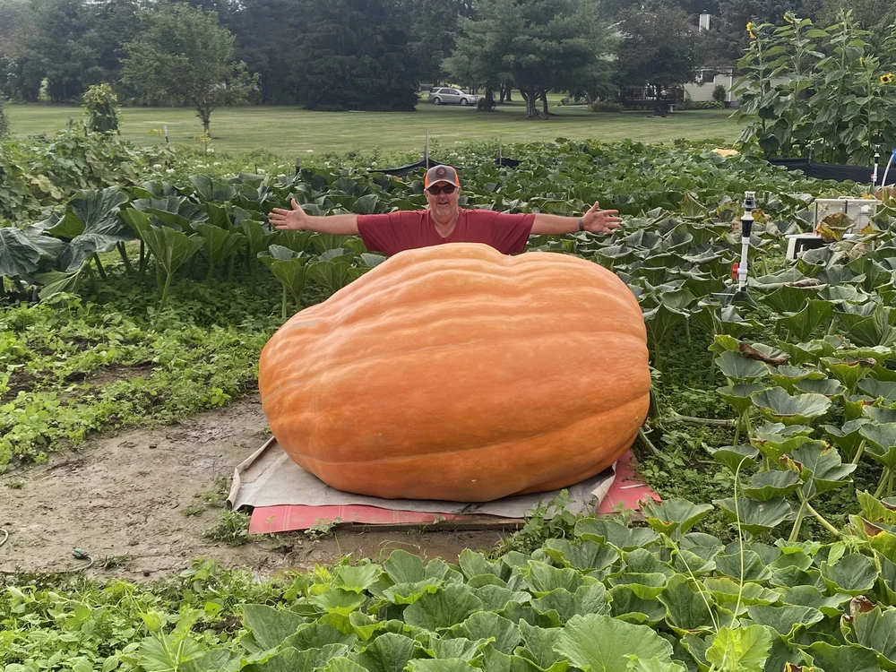 Giant Pumpkin Seeds — Kisamore Giant Pumpkins