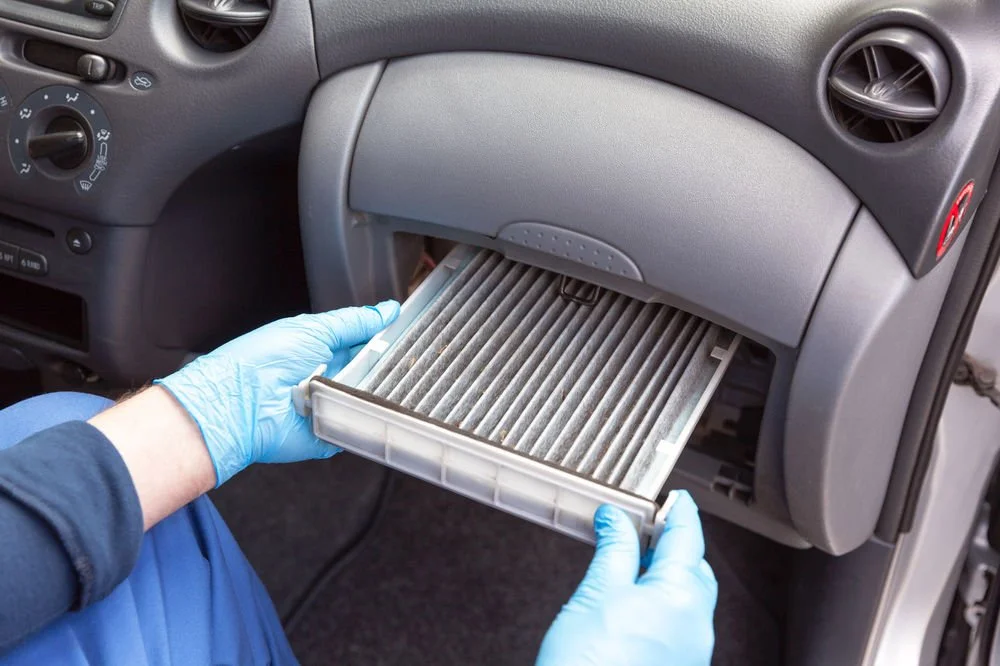 Handling a Rodent Infestation in your Car — REVIVE Auto Detailing