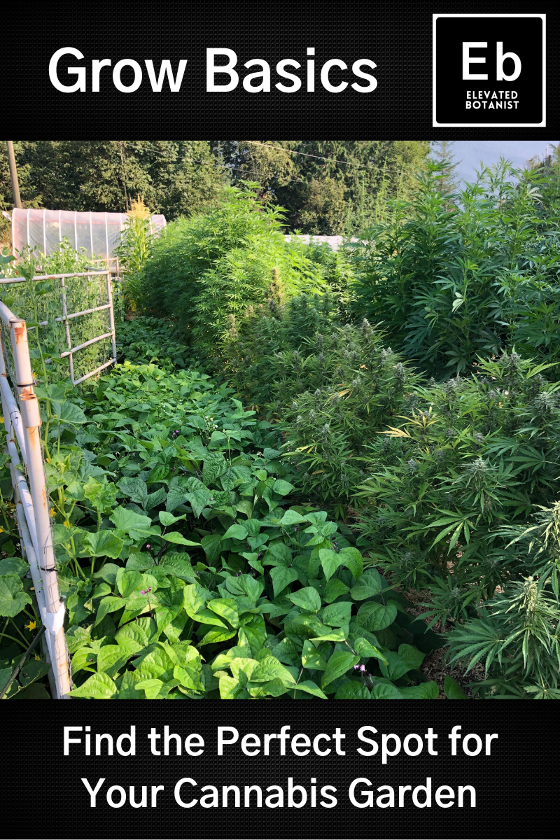 Find the Perfect Spot for Your Cannabis Garden — Elevated Botanist