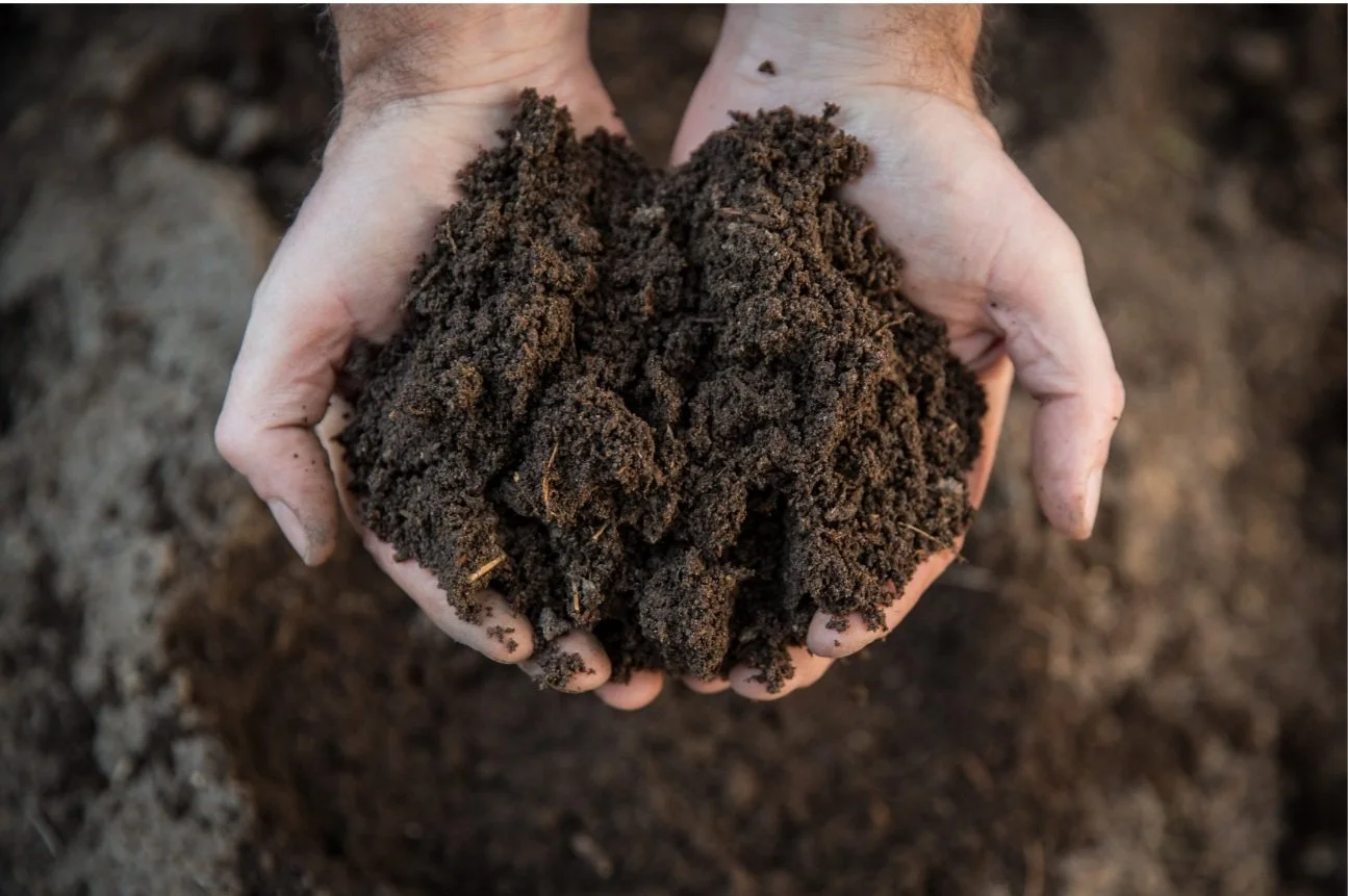 Create A Living Soil to Grow Amazing Weed — Elevated Botanist