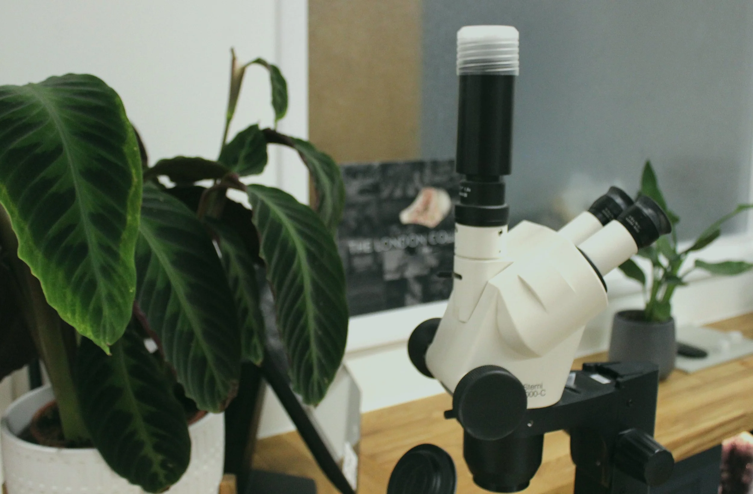 London Gemstone Laboratory