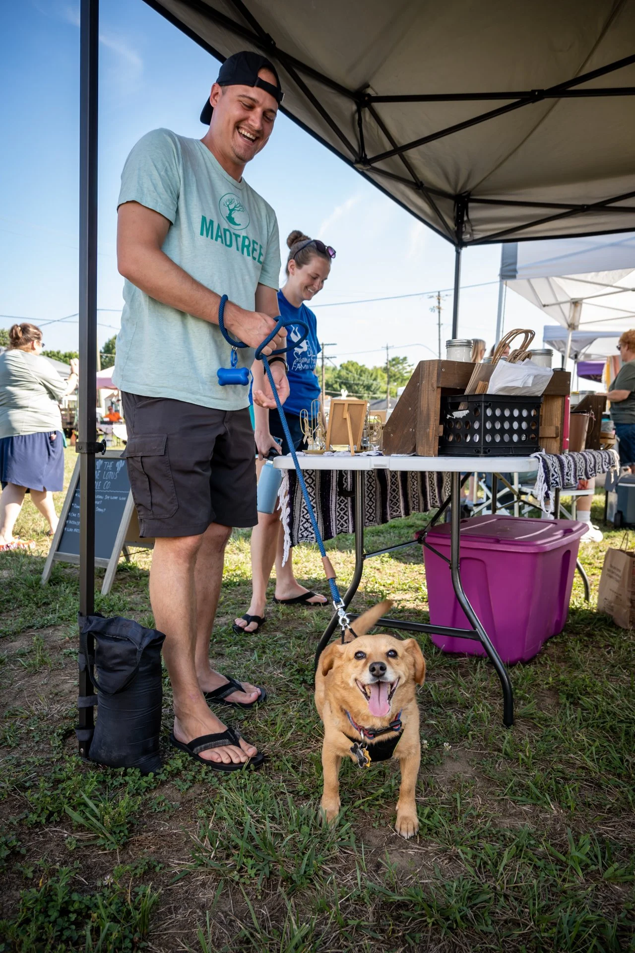 Reading Farmers Market — Thriving in Reading