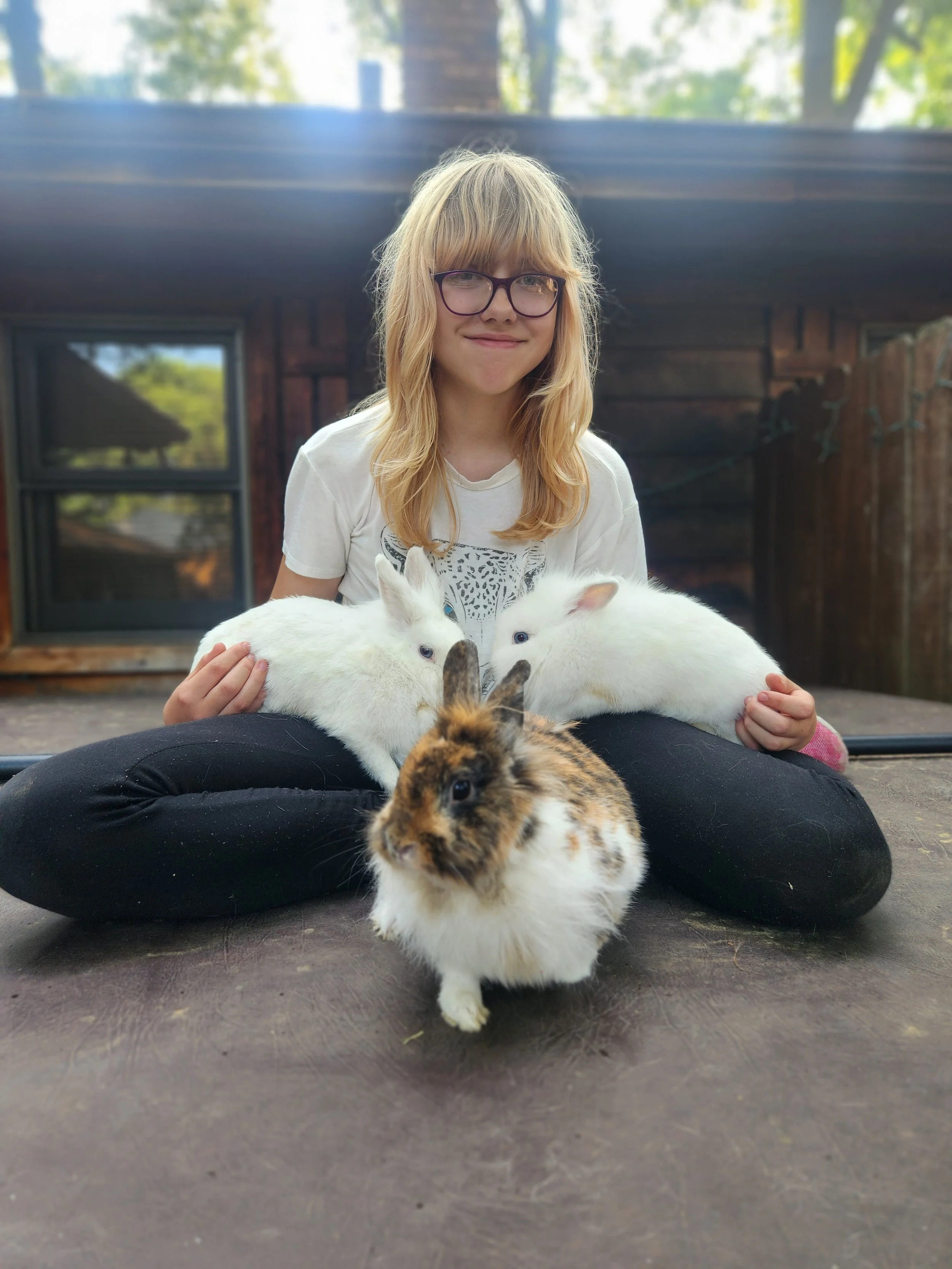 Bunnies-R-Us Rescue