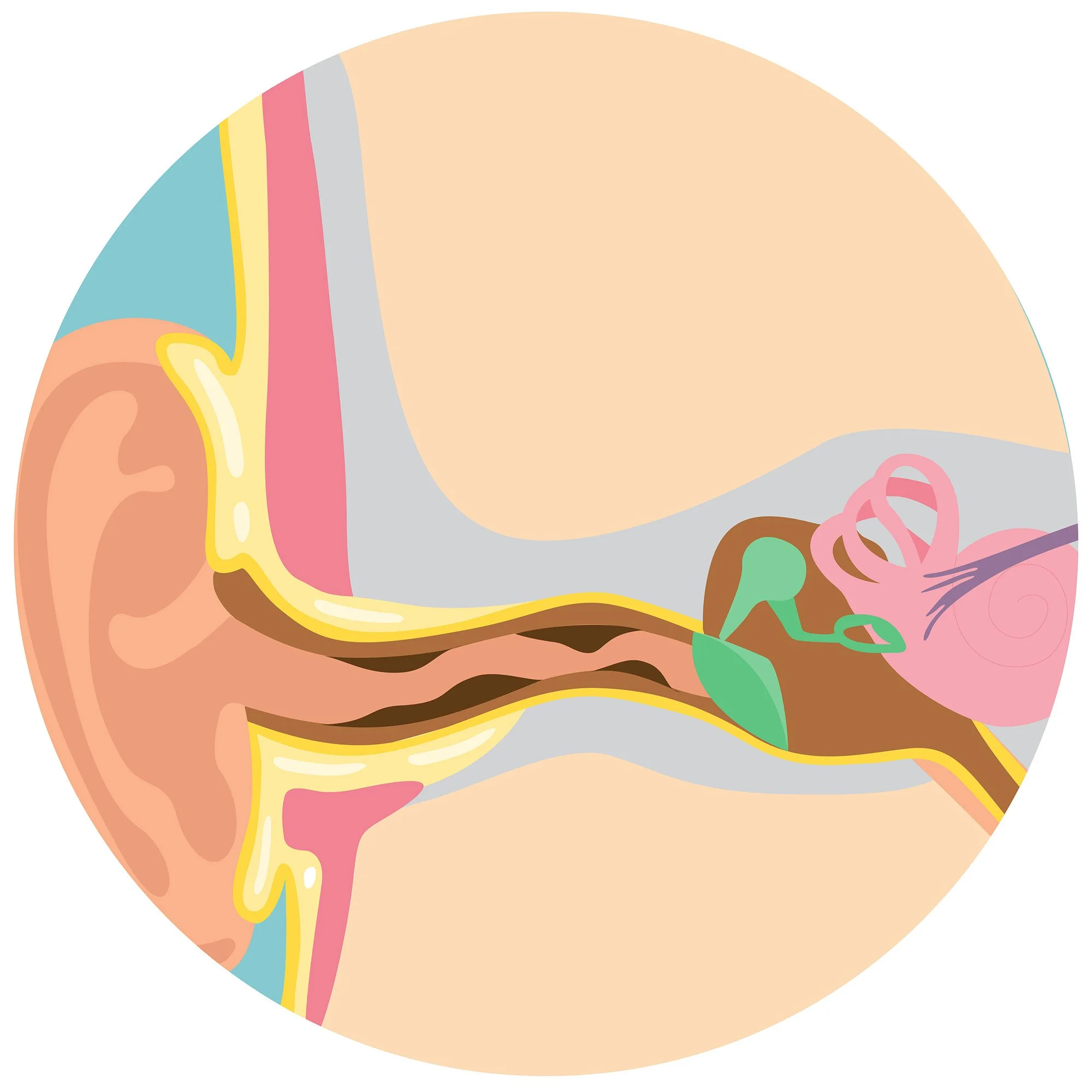 What causes earwax build-up and when to seek removal — The Sense of Hearing