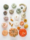 All the Tips + Tricks for Cleaning and Preserving Your Pumpkins ...
