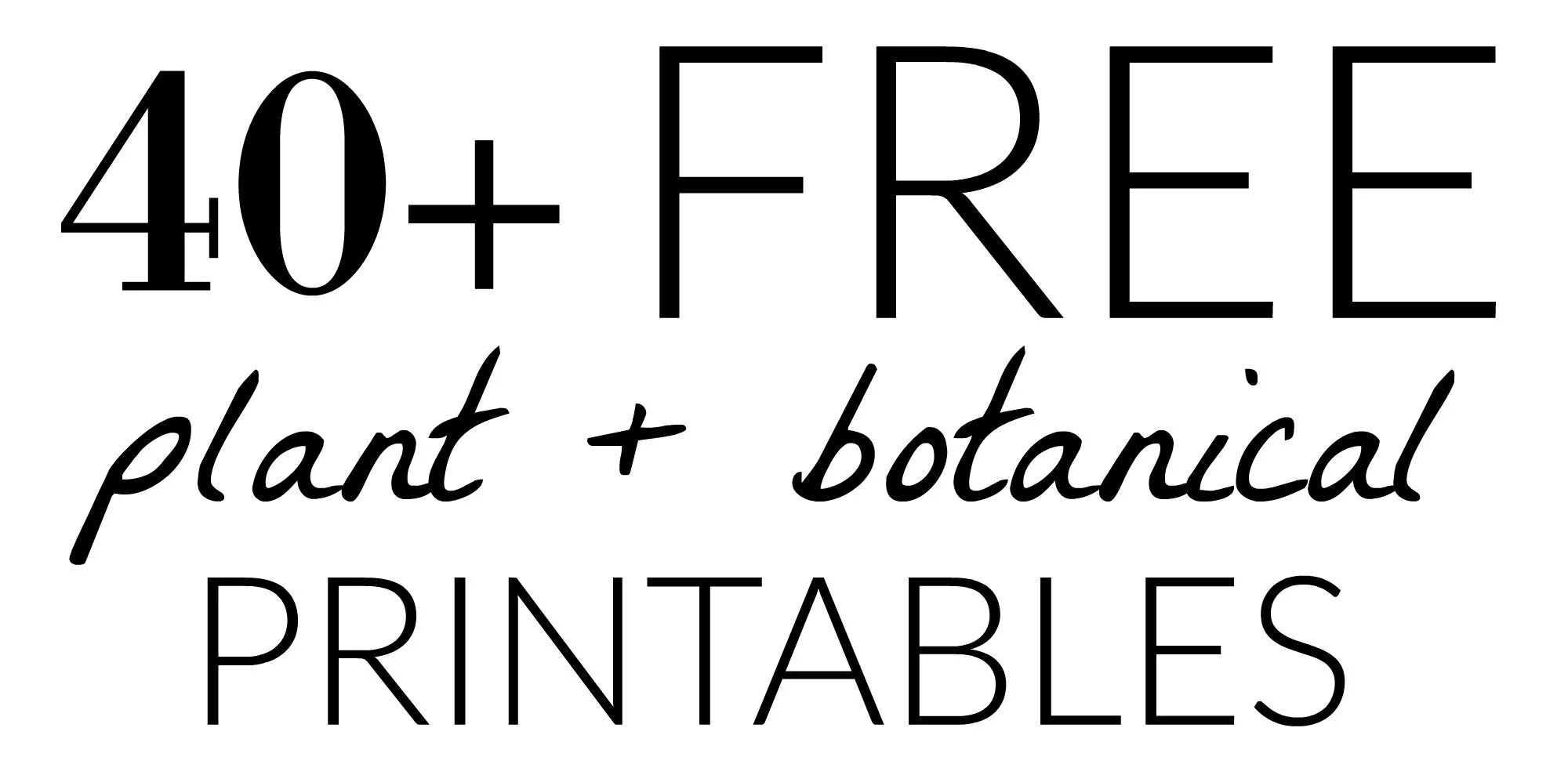 40+ Free Plant + Floral Printables for your Home — Gathered Living