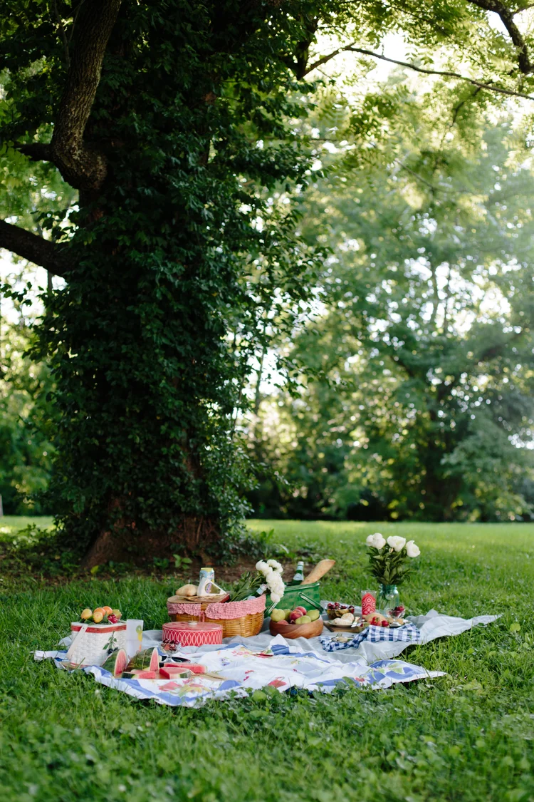 How to Pack the Perfect Summer Picnic — Gathered Living