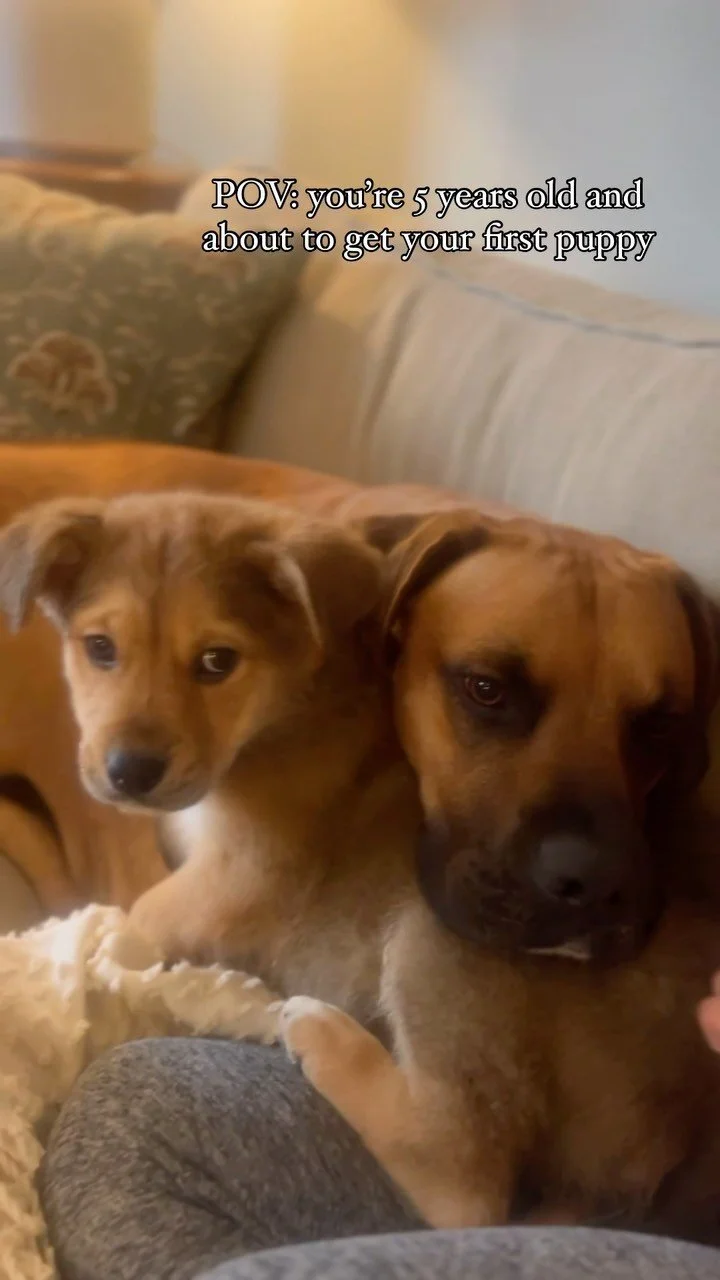 Vintage Map Set Pre-Order — Gathered Living