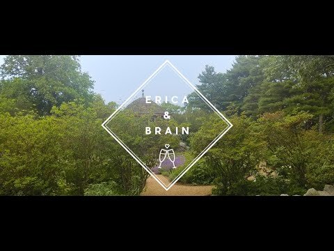 Corporate — BEN ALGAR