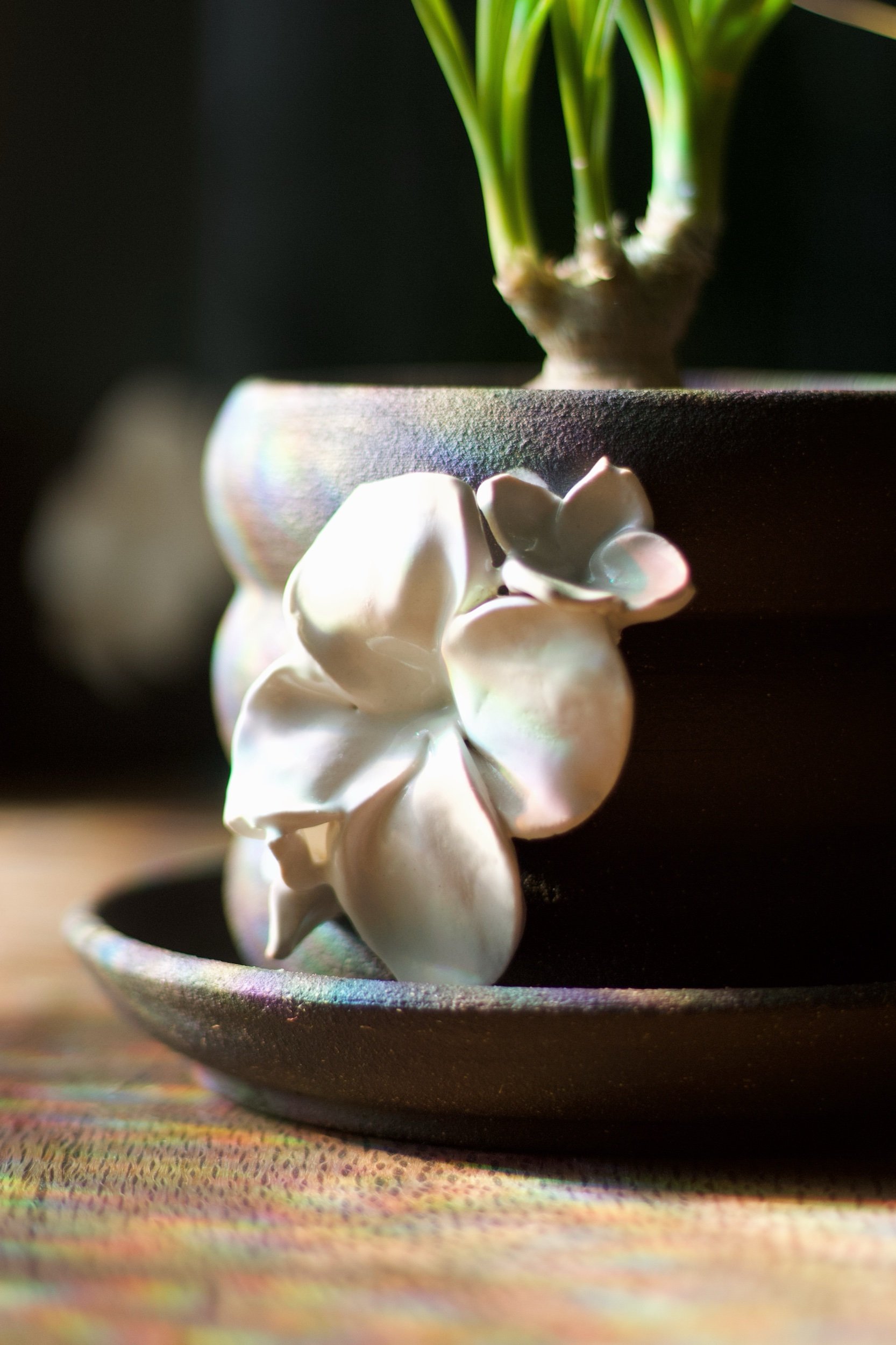 Products — Erica Moore Pottery