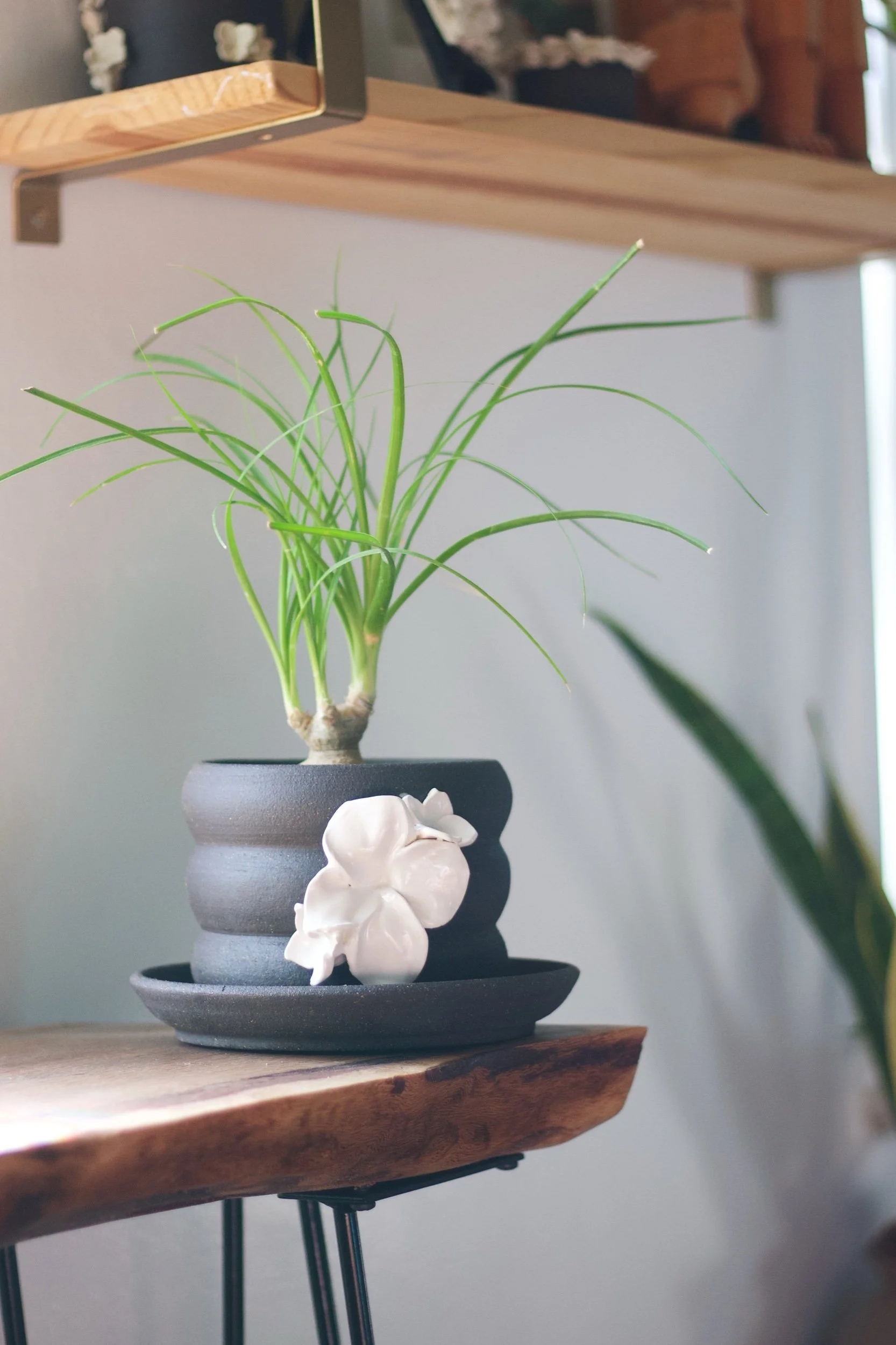 Products — Erica Moore Pottery