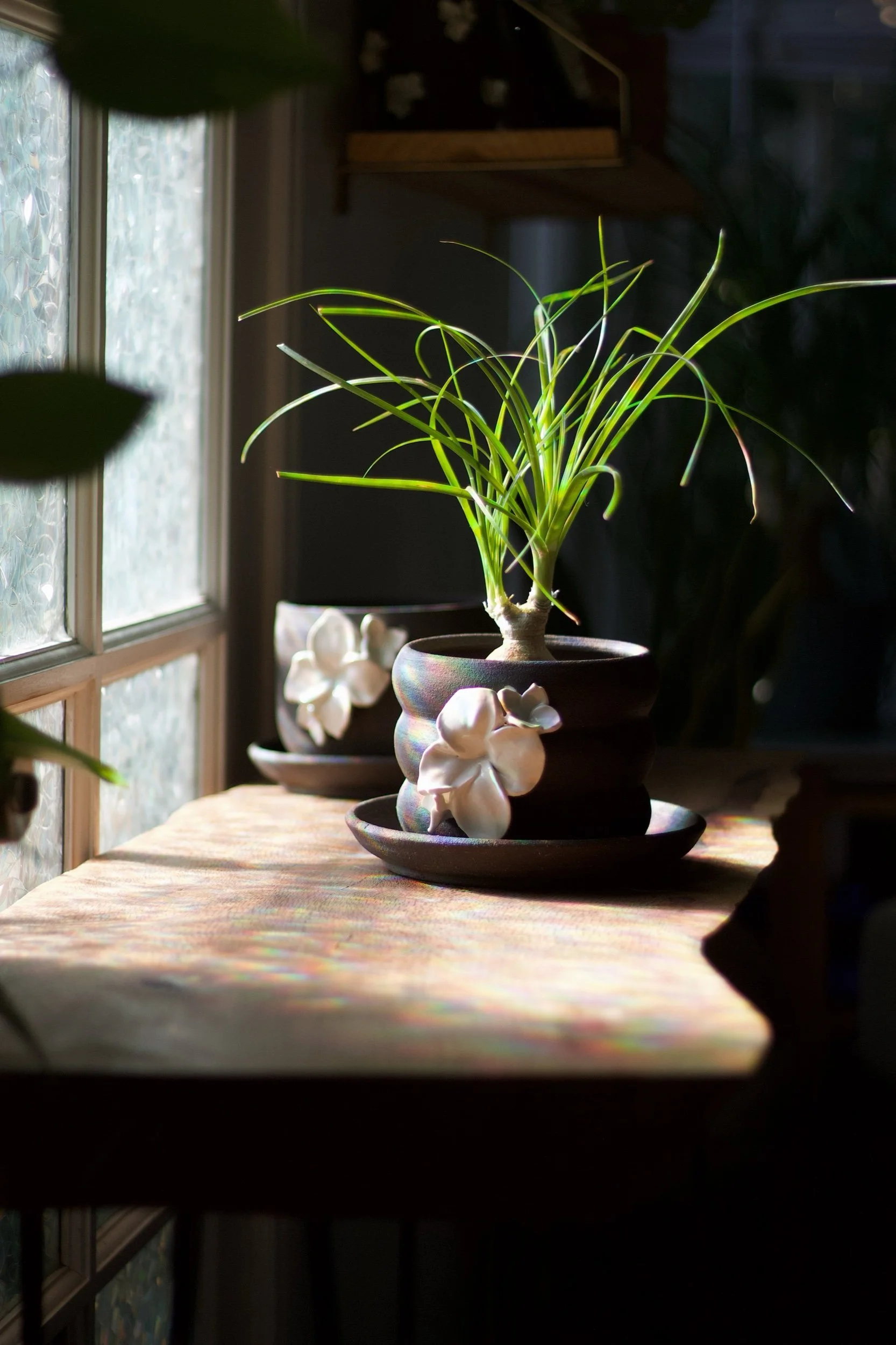 Products — Erica Moore Pottery