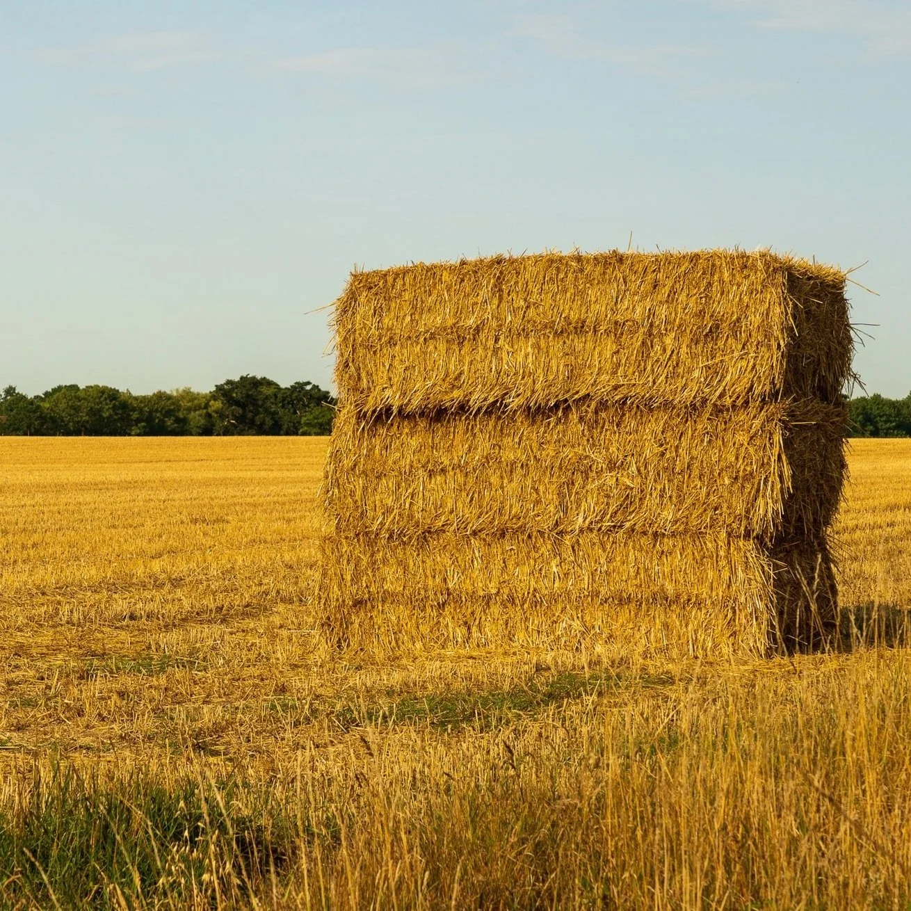 Products — Harmon Family Farm