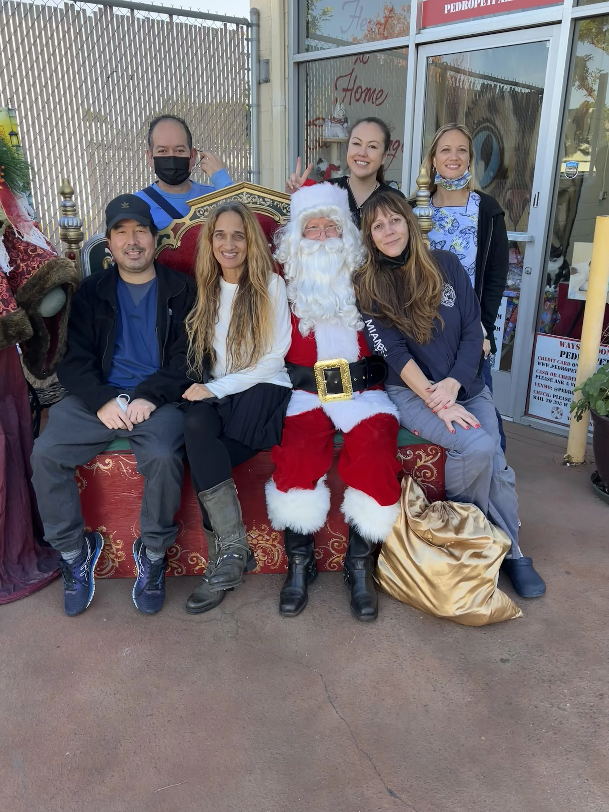 Amazing Small Animal Practice