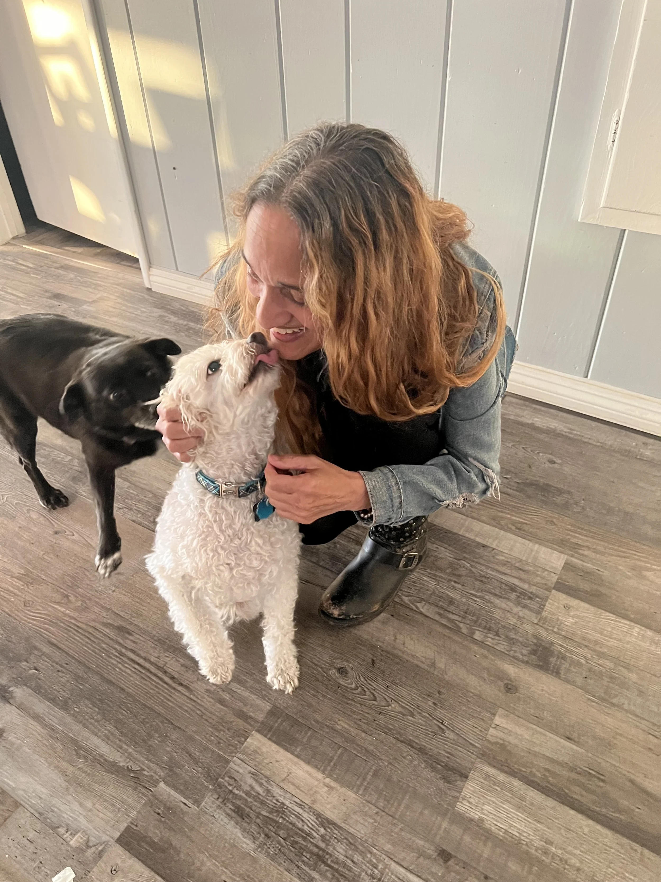 Amazing Small Animal Practice