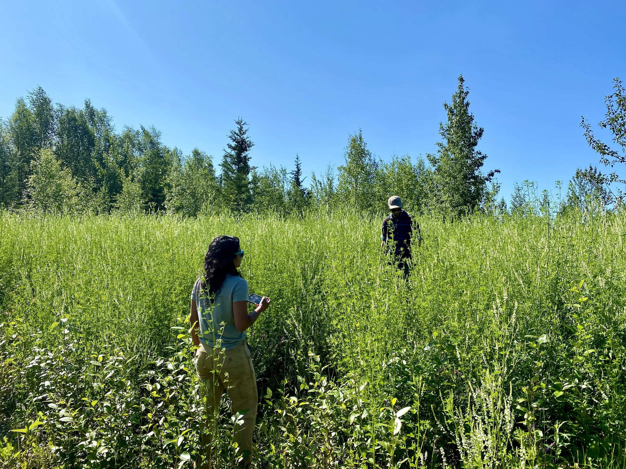 FSWCD: Invasive Species