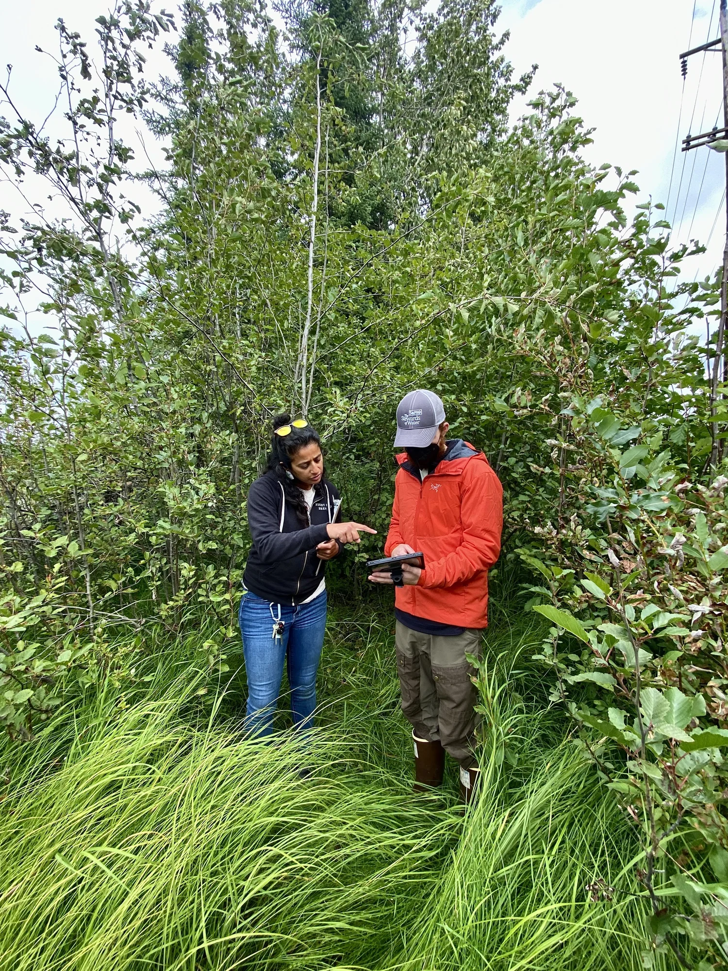 FSWCD: Invasive Species