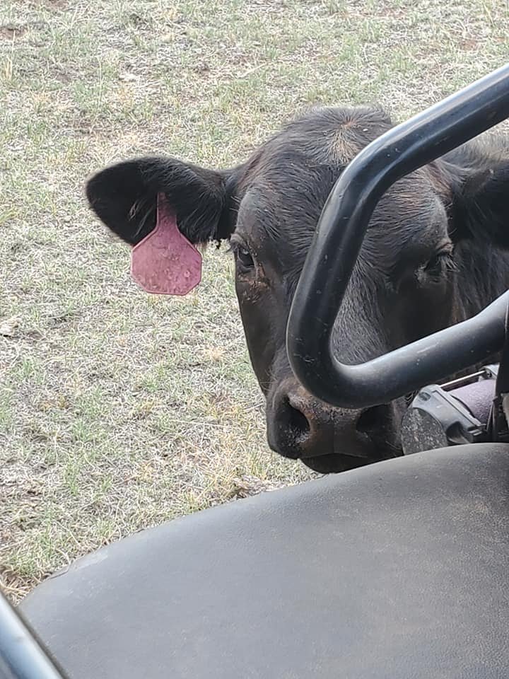 Oxford Ranch Wyoming