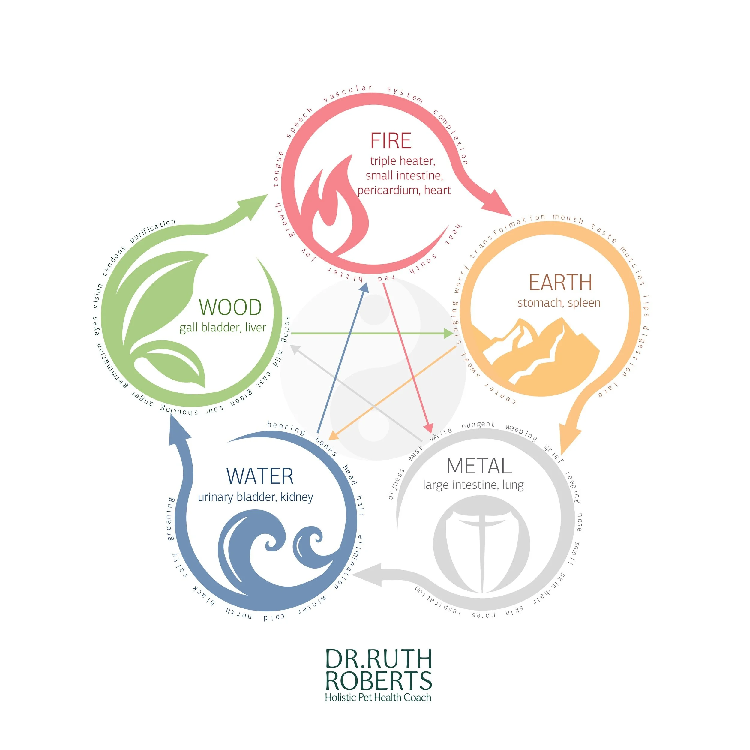 What Is 5 Element Theory