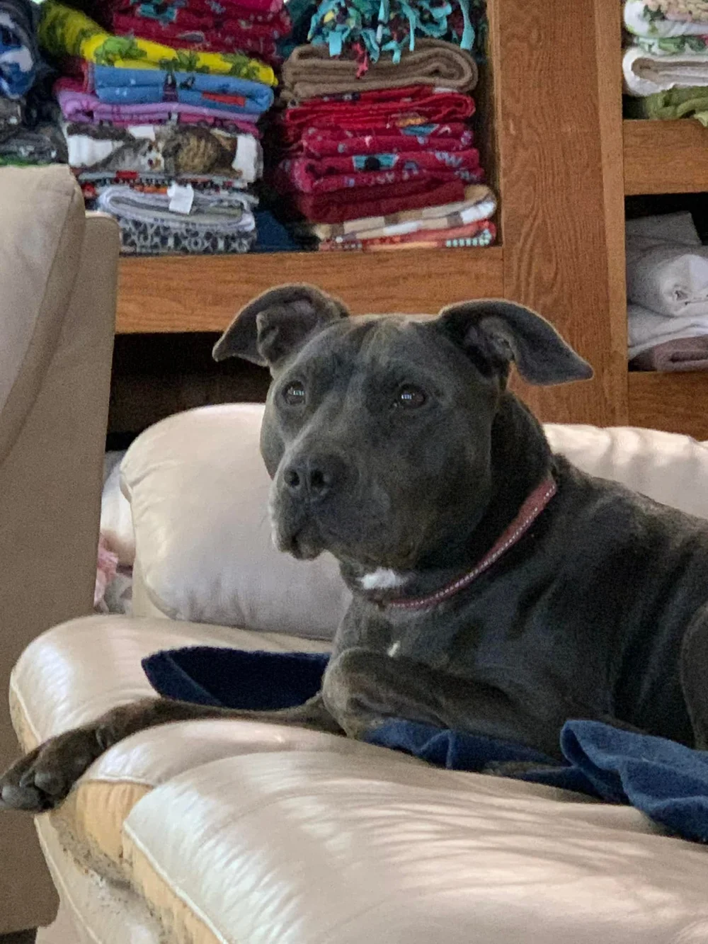 Our Residents — A Sanctuary For The Souls. Love Lives Longer Here.