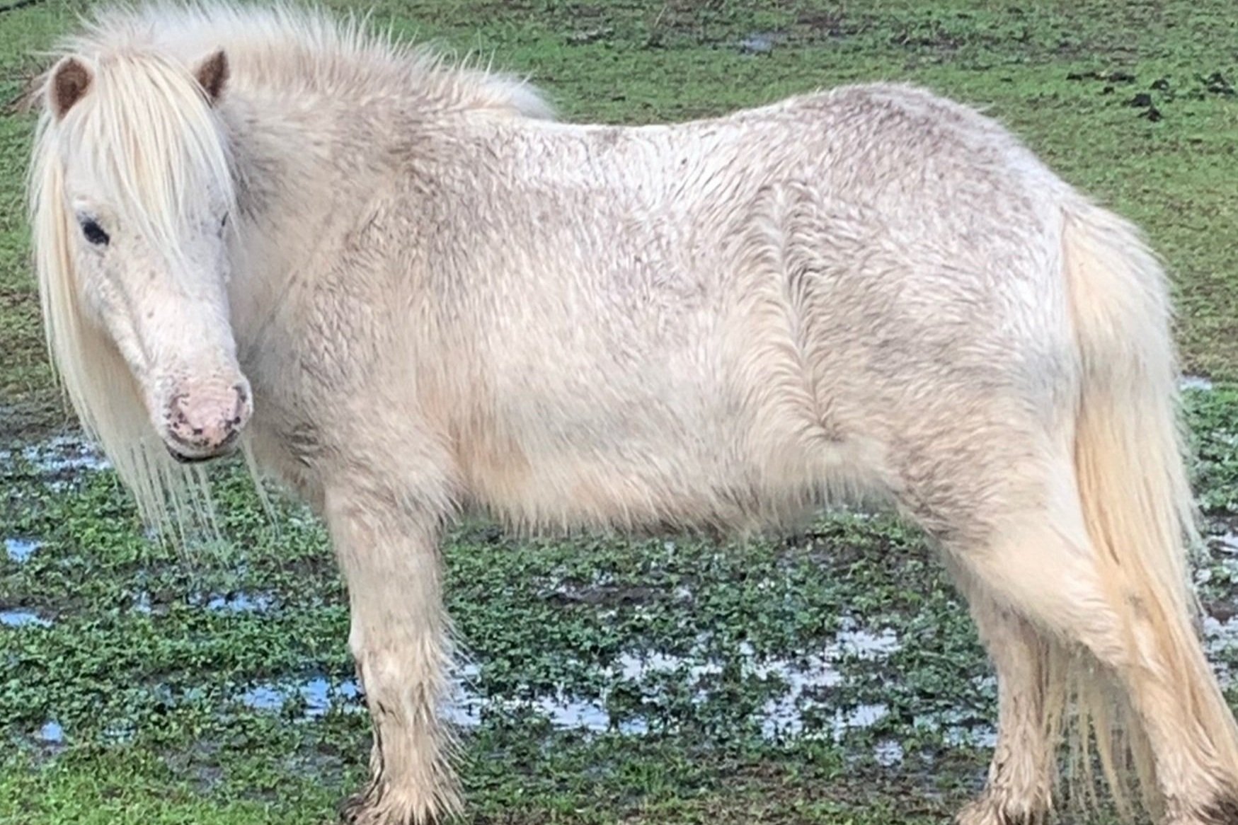 Rescue Stories — A Sanctuary For The Souls. Love Lives Longer Here.