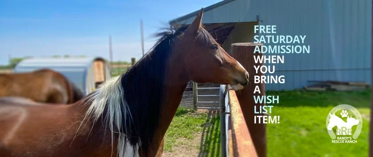 Randy's Rescue Ranch