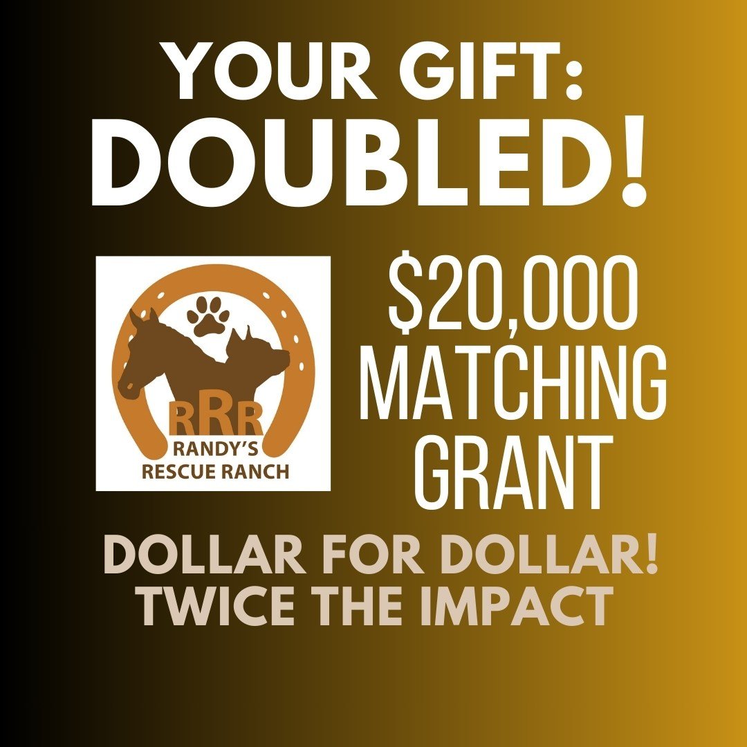 Letter From Randy — Randy's Rescue Ranch