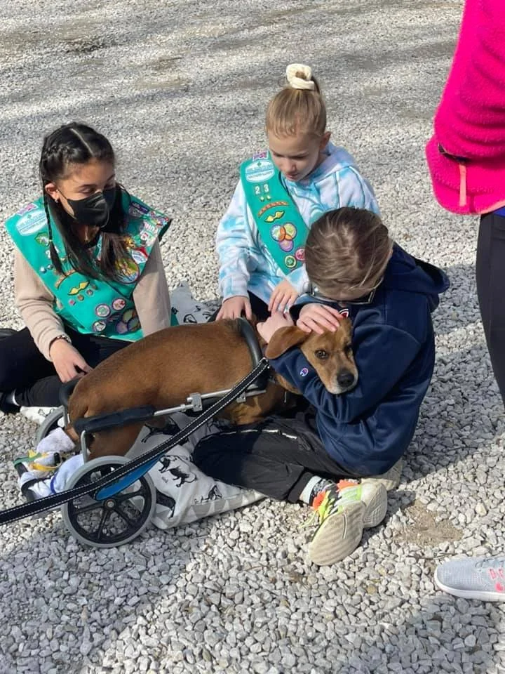 Visit Us — Randy's Rescue Ranch