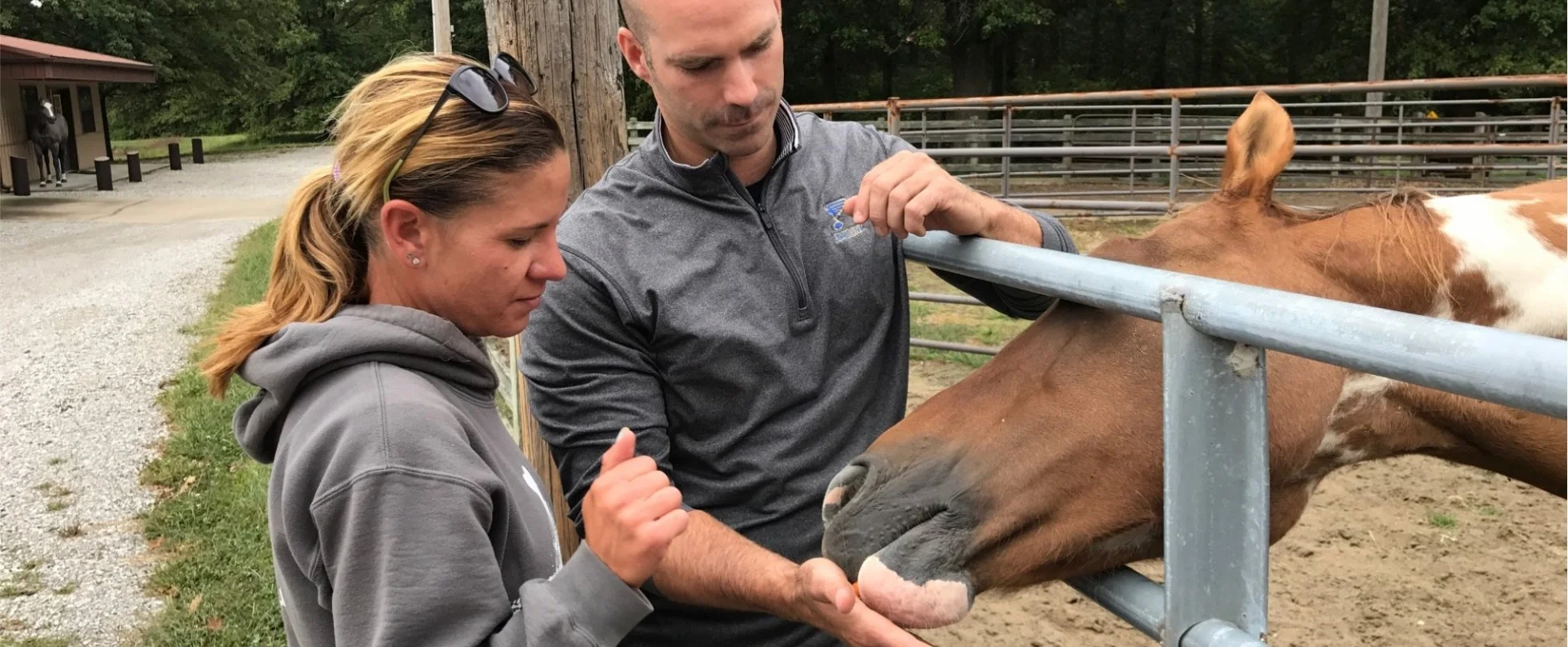 Adopt — Randy's Rescue Ranch