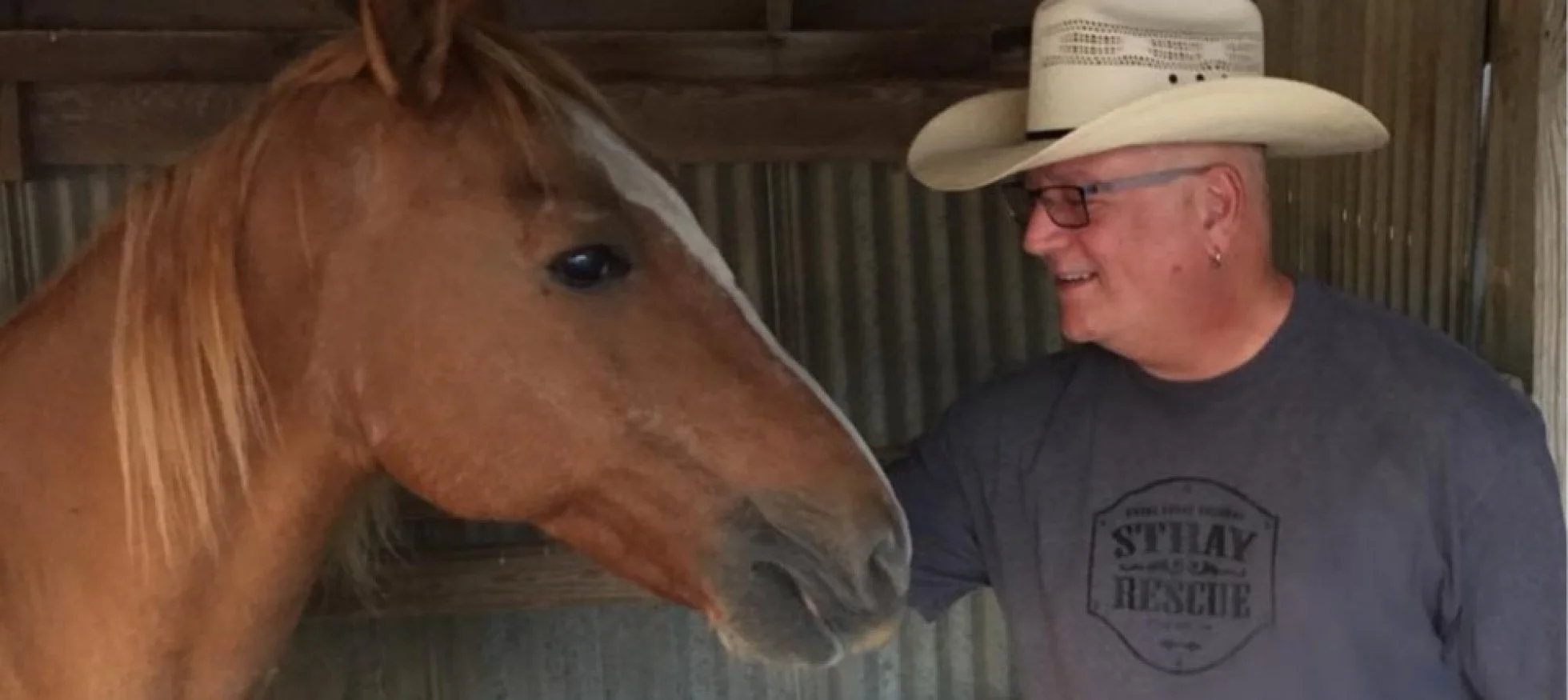 Rescue Stories — Randy's Rescue Ranch