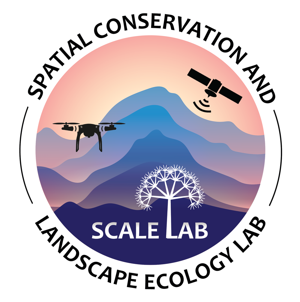 About 1 — SCALE Lab