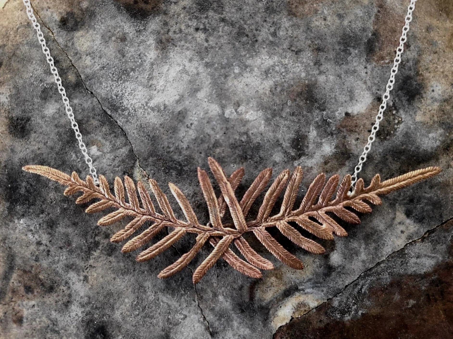 Store 1 — The Forest Adorned