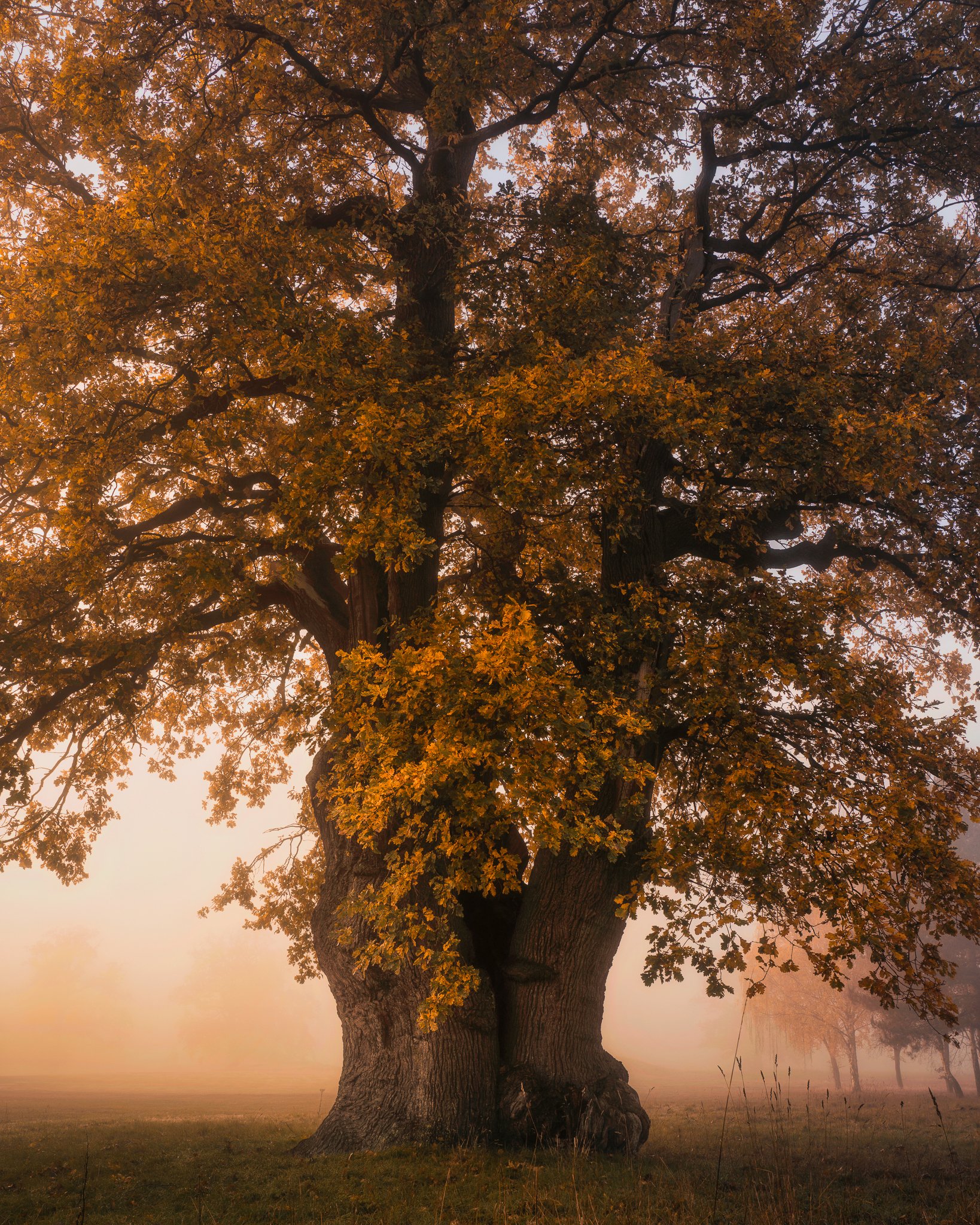 Best Photos of 2022 — Tim Smalley Photography