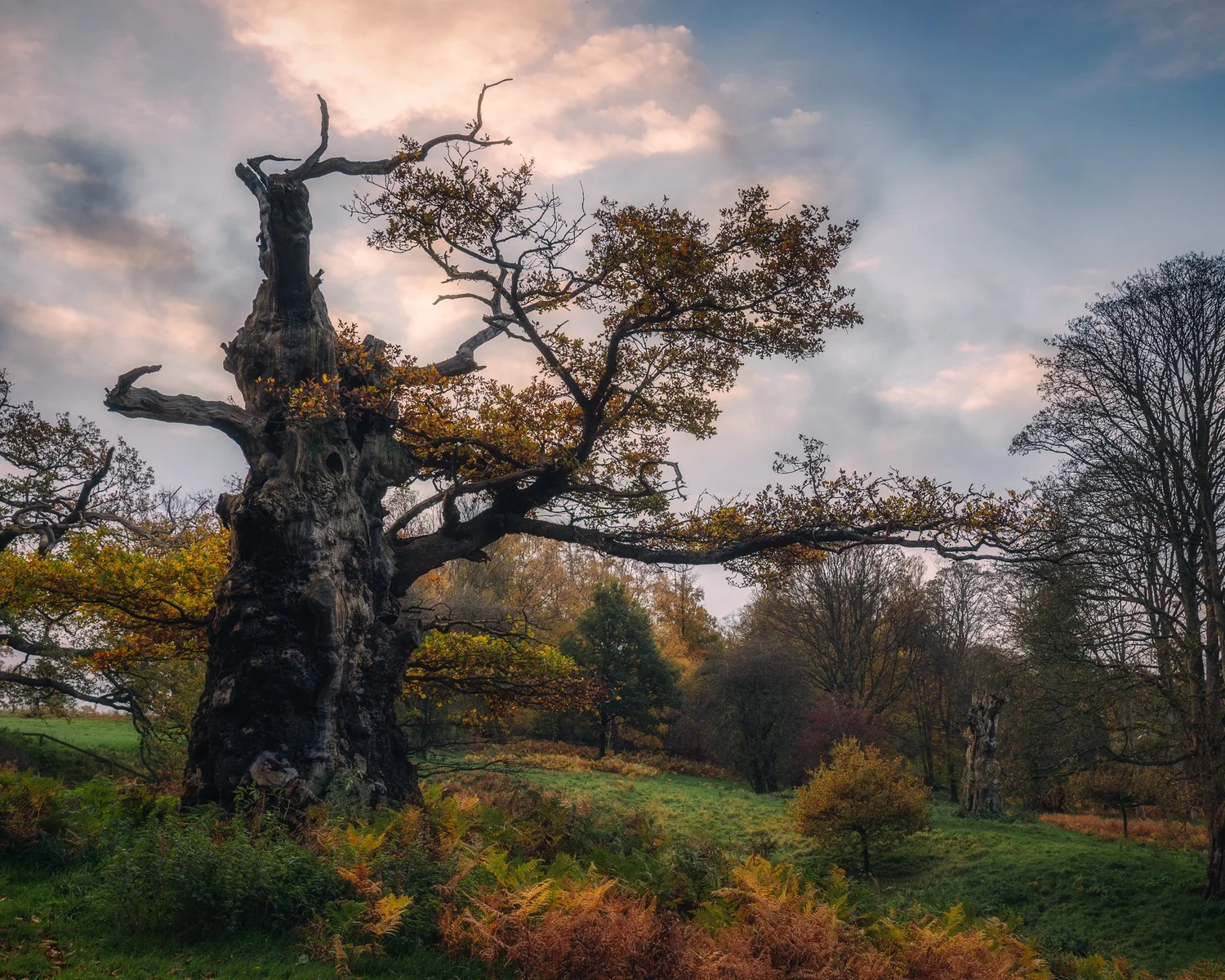 Tim Smalley Photography