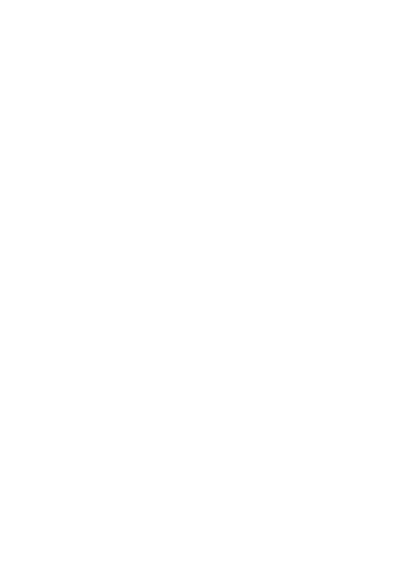 ABOUT — SAPT