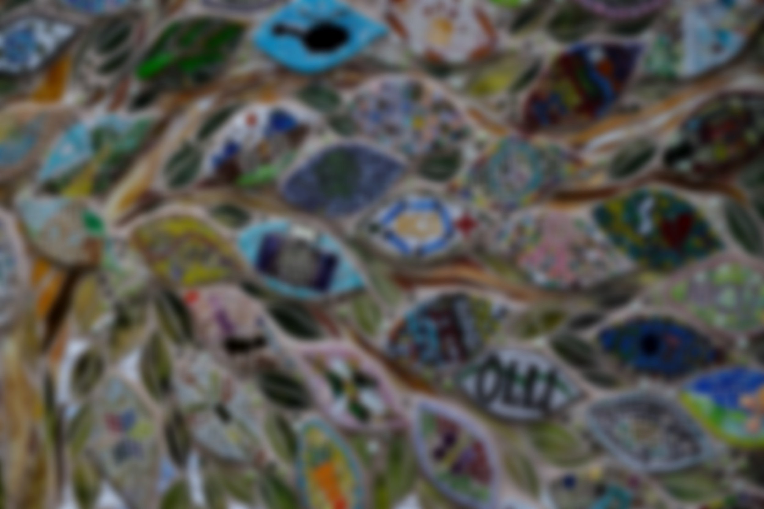 The BOPARC Foundation