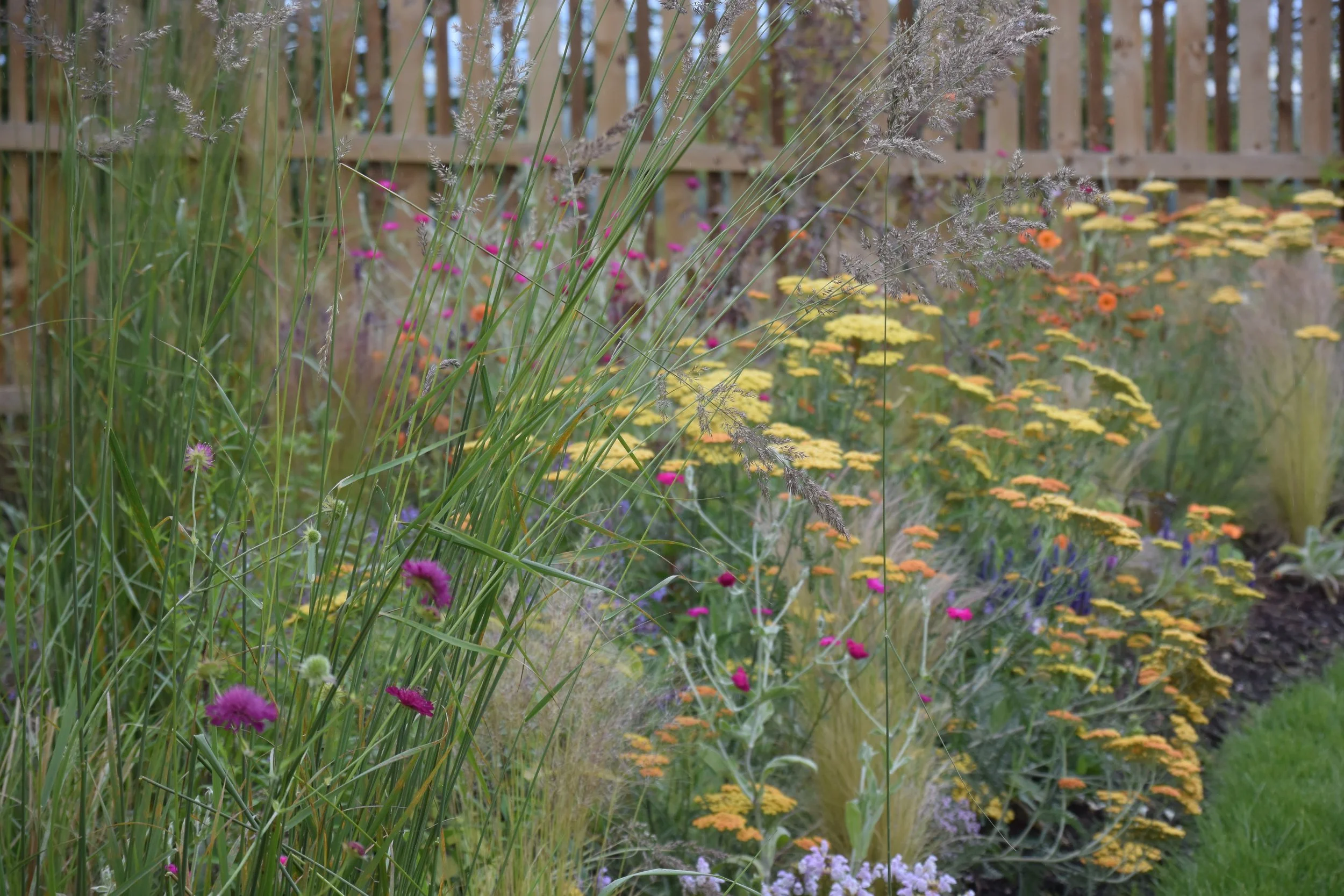 Simple Tips for Designing a Garder Border — Hastate Design