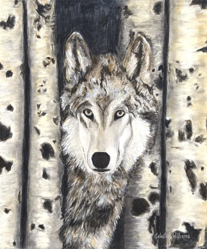 Shop — Celestial Williams